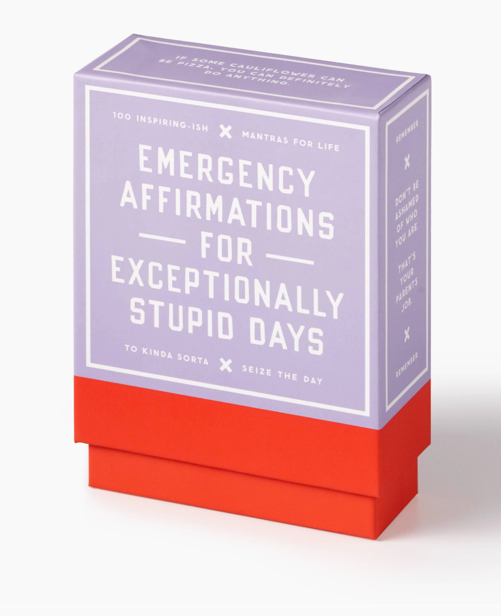 Brass Monkey Emergency Affirmations Exceptionally Stupid Days Card Dec